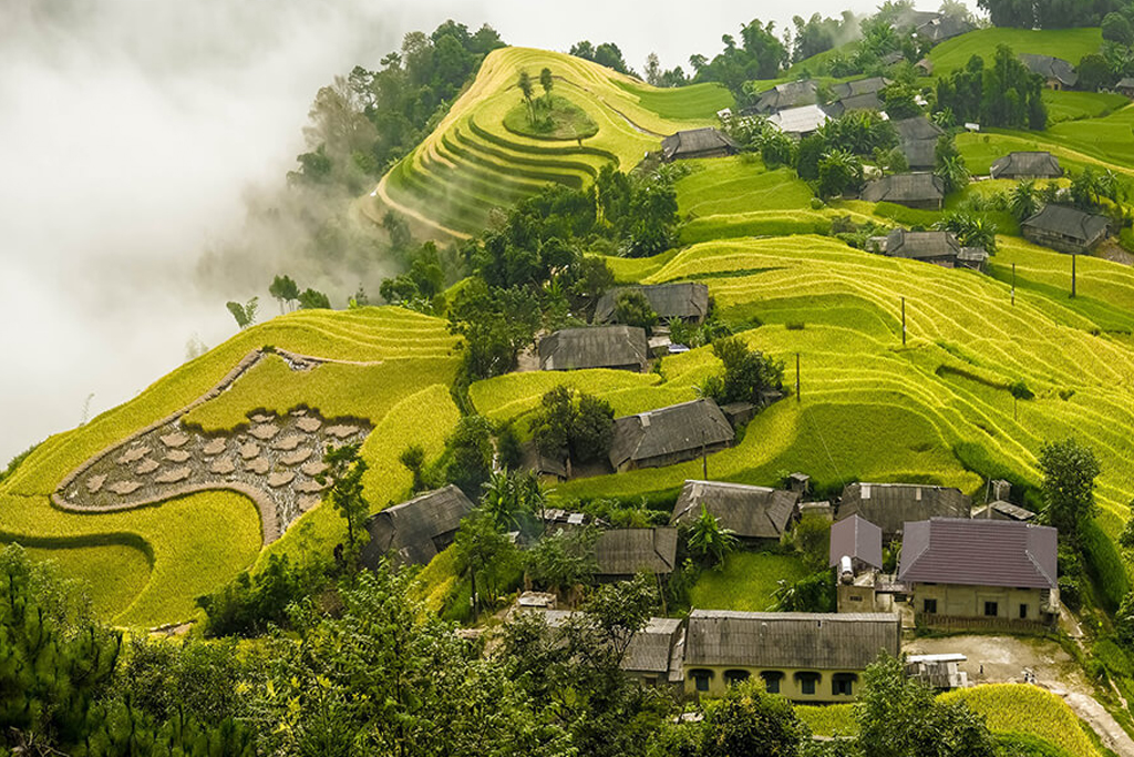 Hoang Su Phi - Chieu Lau Thi Coc Pai - Bac Ha - Ratraco Travel